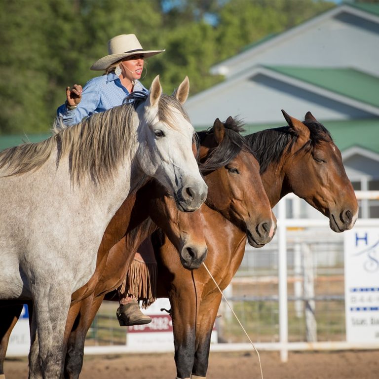 Home - Mustang Maddy
