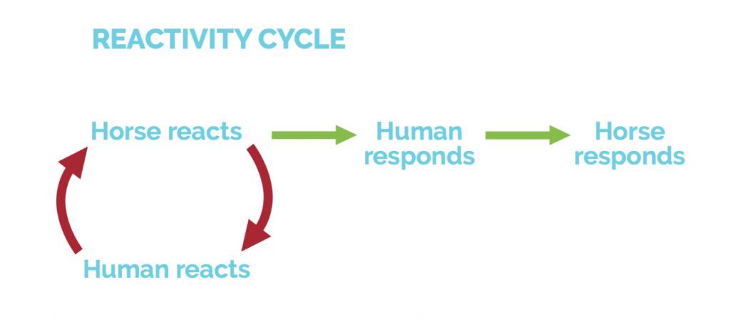 Stopping the Reaction Cycle - Mustang Maddy