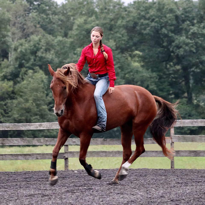 Cat Zimmerman - Mustang Maddy